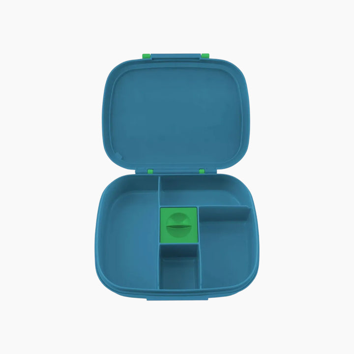 Stephen Joseph New Bento Box With Removable Tray – HUNA