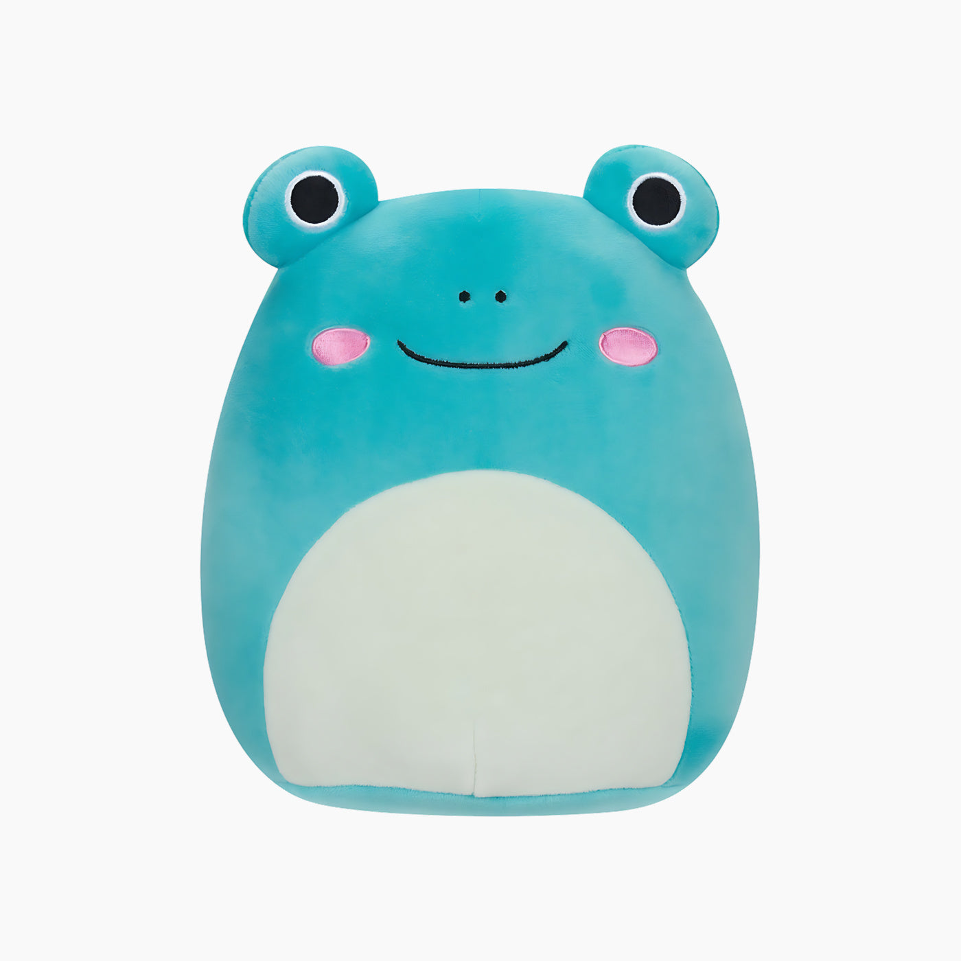Jazwares Squishmallows- Little Plush 7.5" Robert The Frog – HUNA